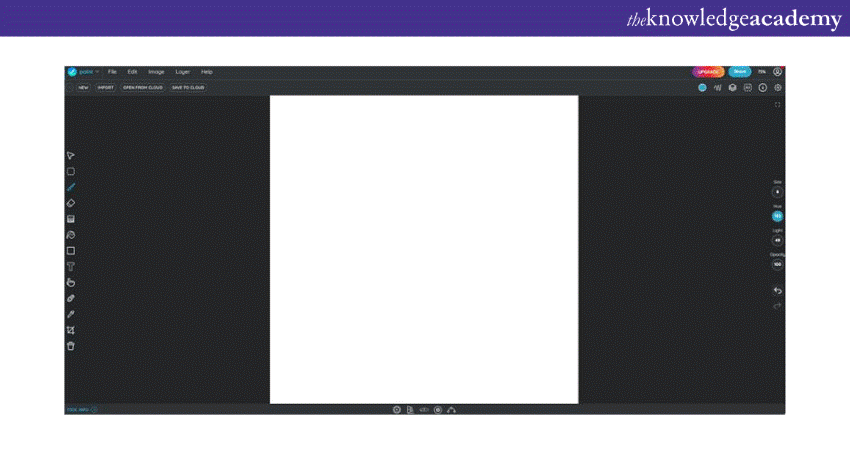 10+ Best GIMP Alternatives That You can USe